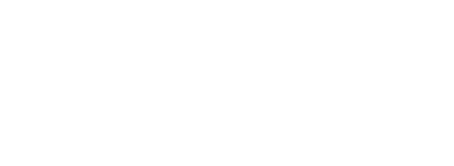 Dolphin Learning Zone